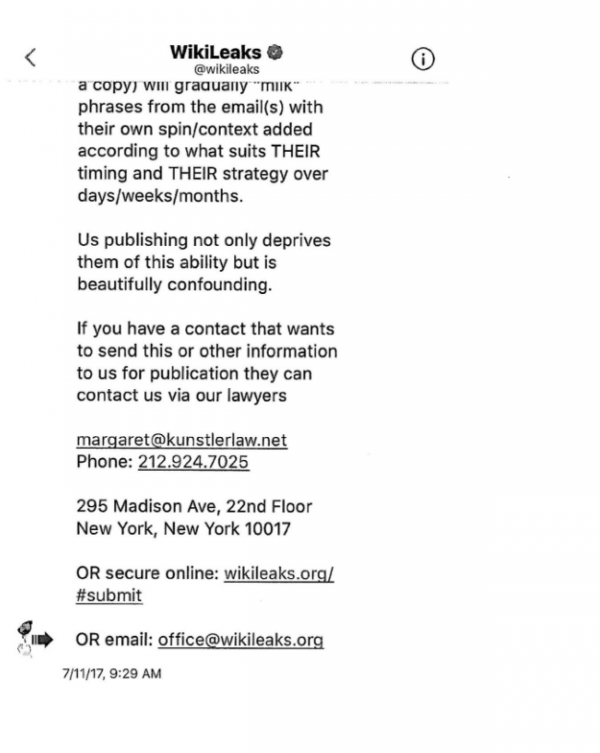 Full Text (Photo Images) of Donald Trump Jr and Wikileaks ...