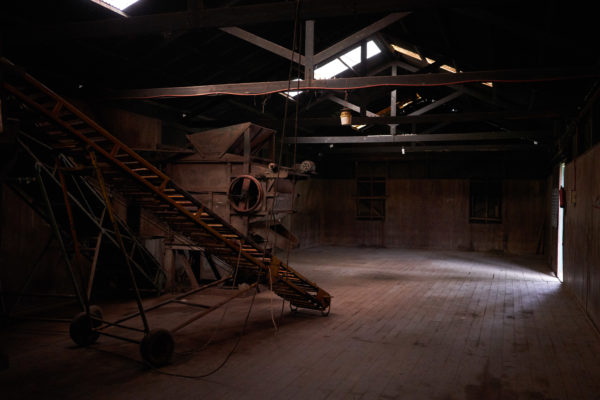 Nestlé & Cargill v. Doe Series: Rethinking the Alien Tort Statute